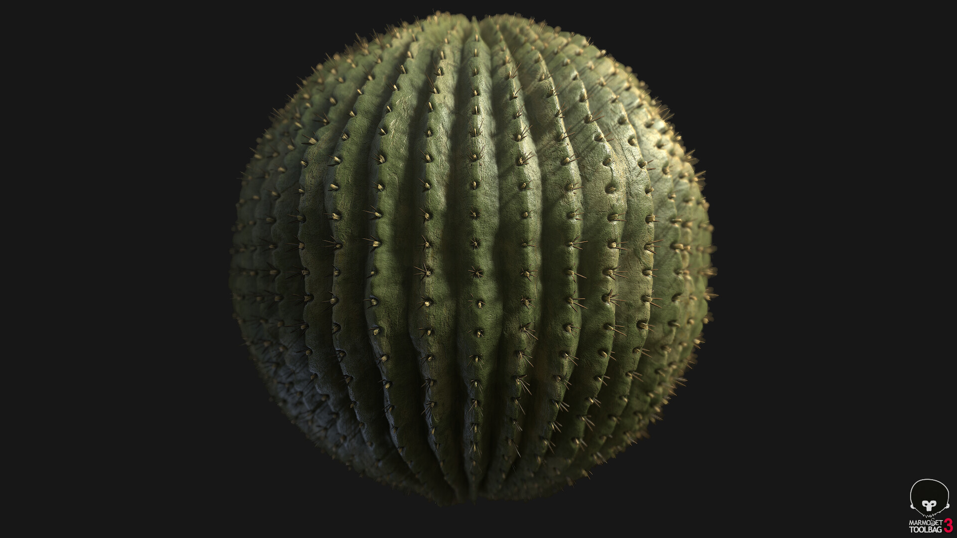 ArtStation - Cactus Material