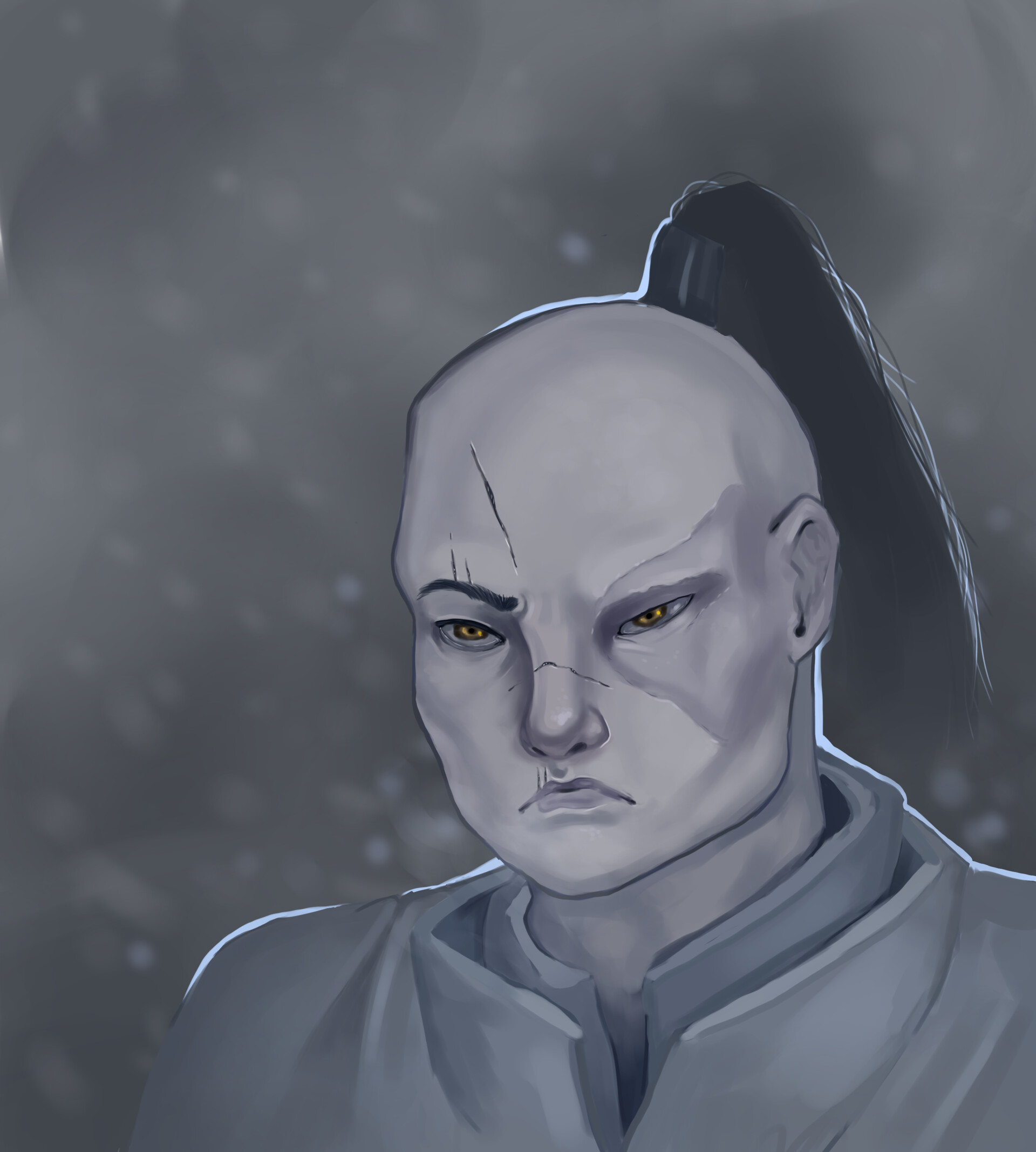 ArtStation - The North