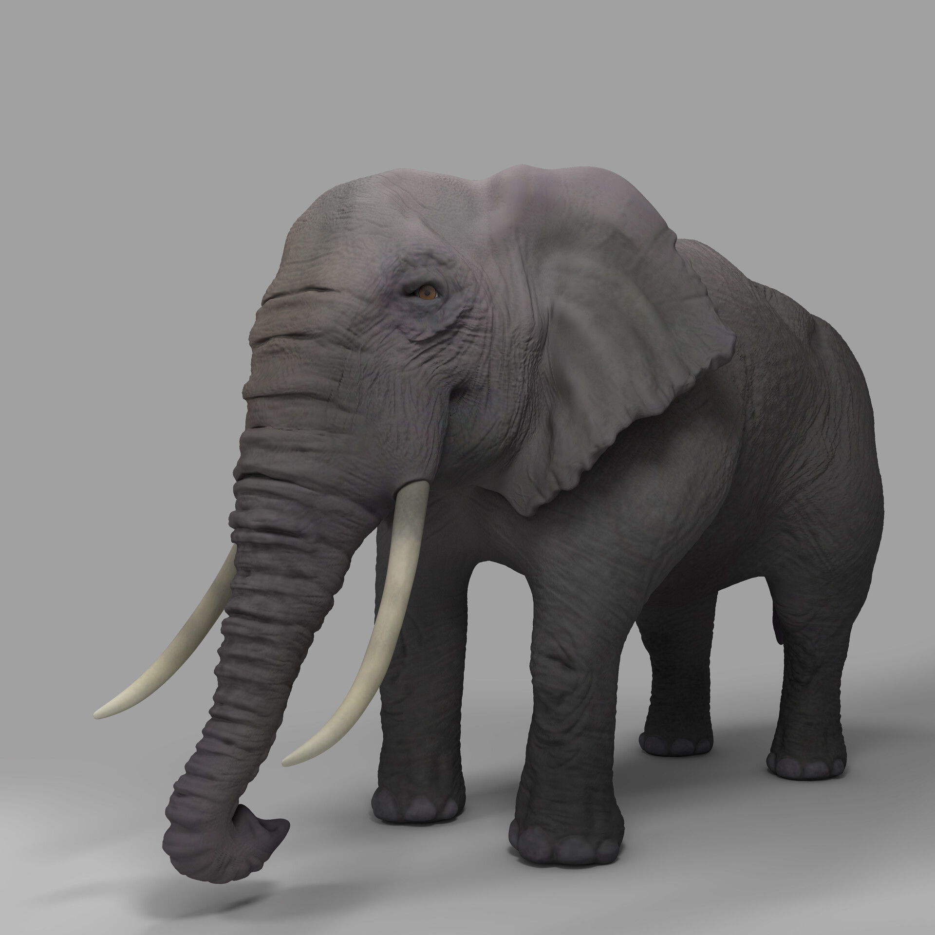 ArtStation - Elephant