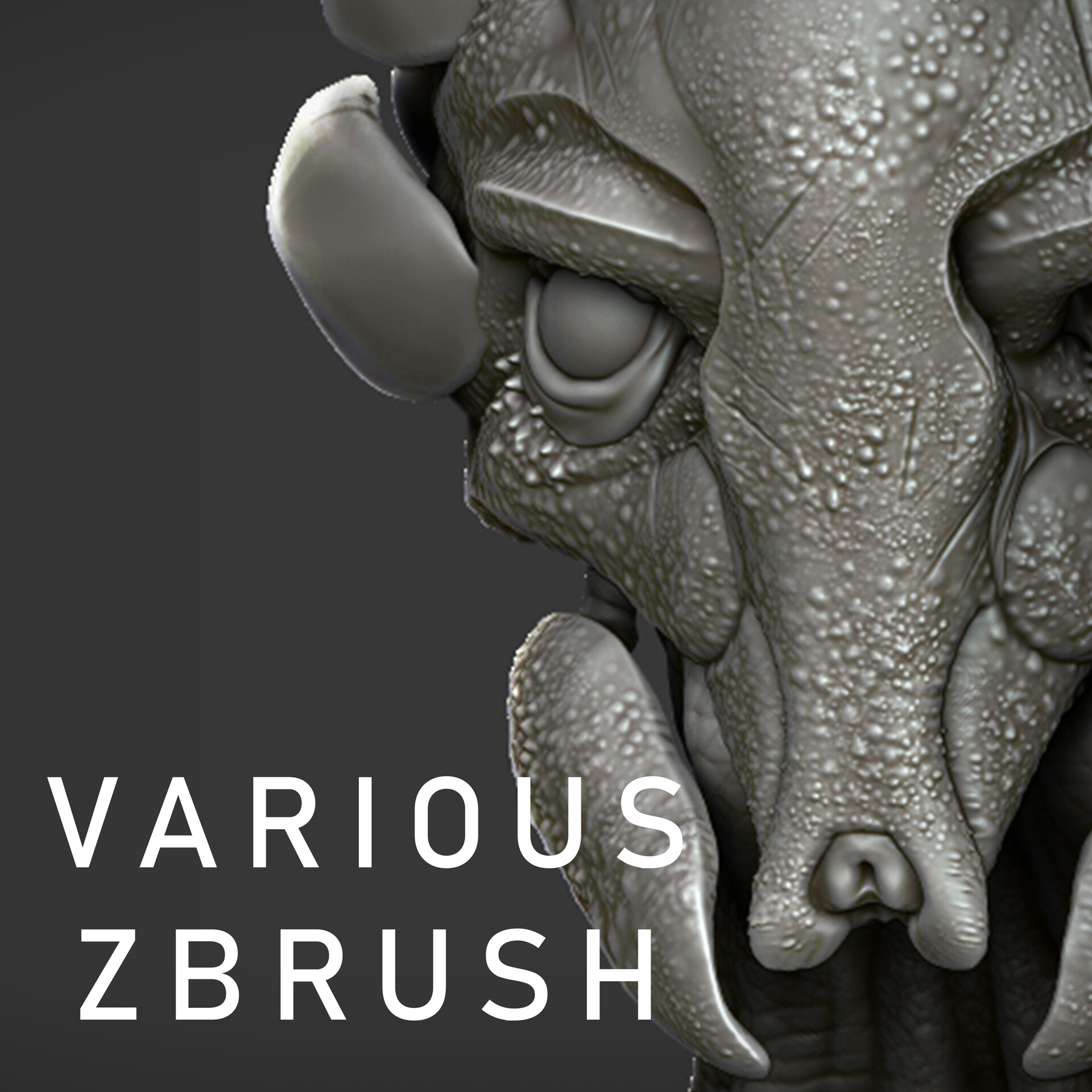 ArtStation - Zbrush Sculptings
