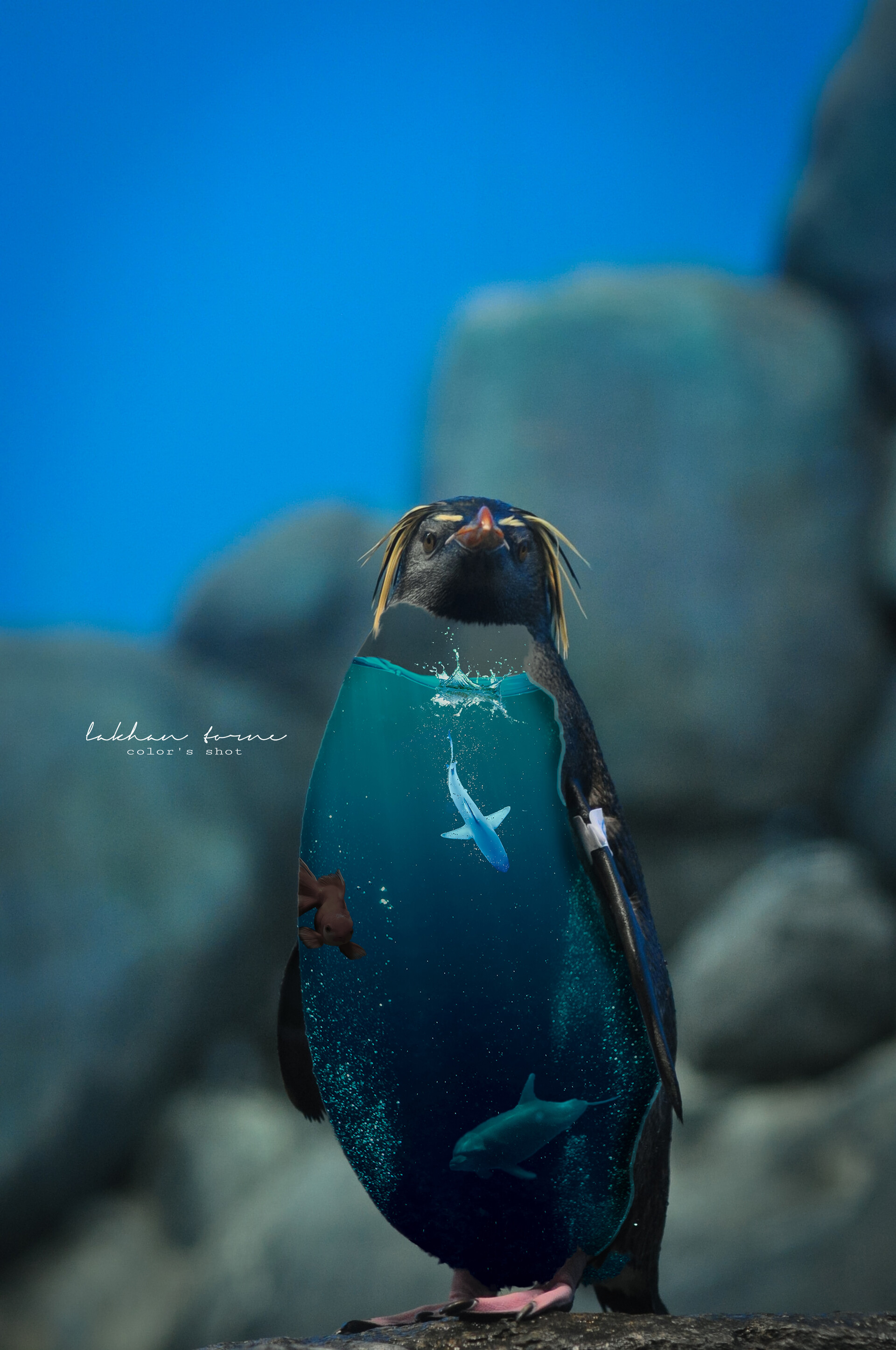 ArtStation - Penguin art