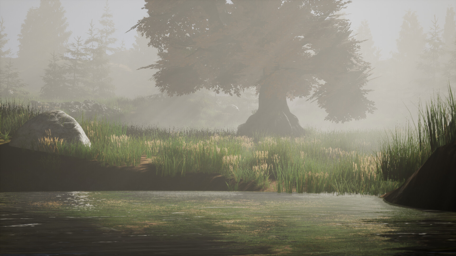 ArtStation - Into The Dryad Forest