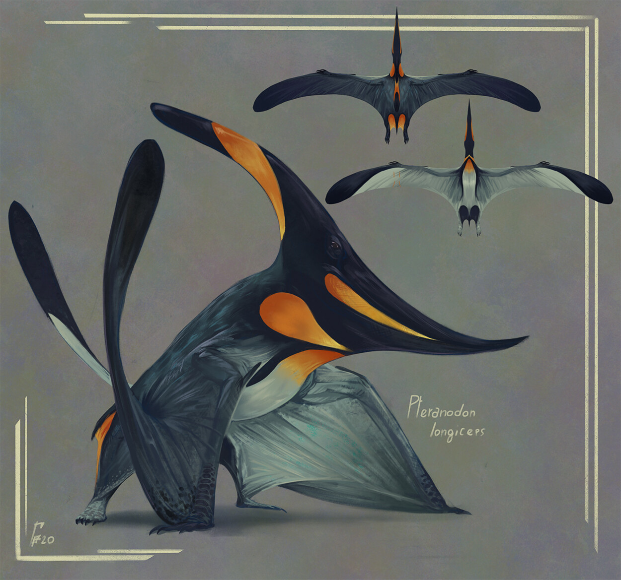 ArtStation - Pteranodon "Penguin Skin"