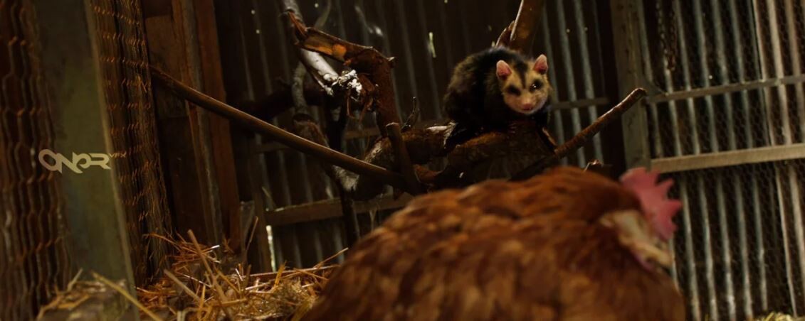 ArtStation - The Weasel’s Tale - Vfx Making