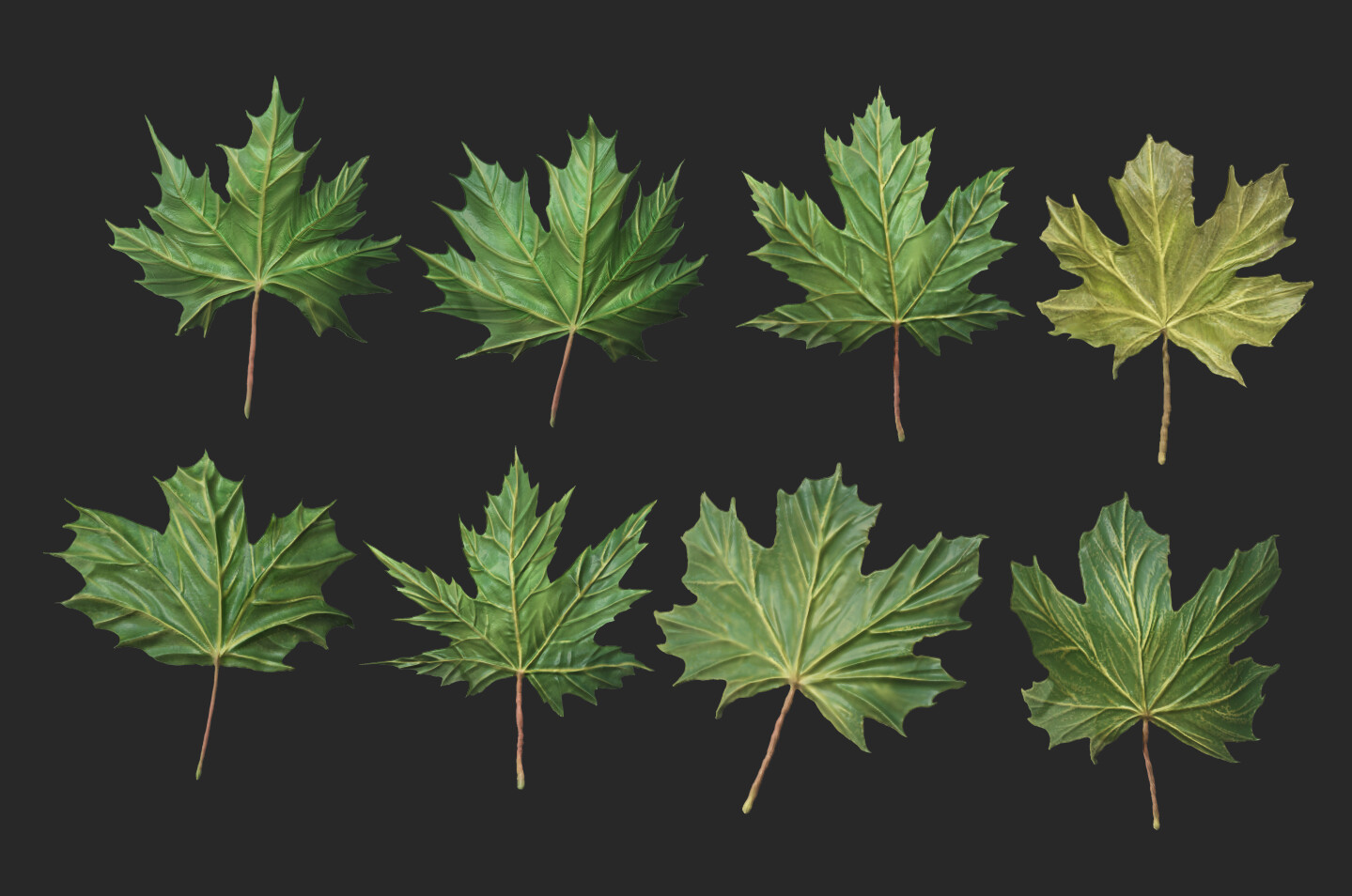 ArtStation - Maple Branches