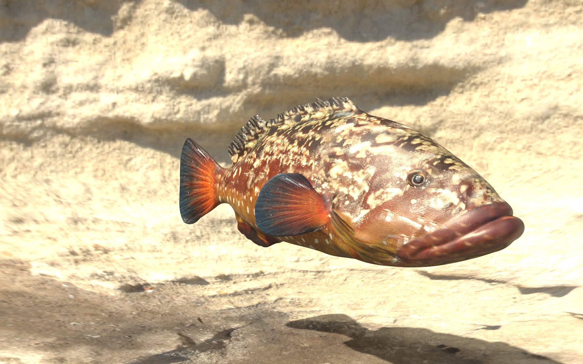 ArtStation - Photorealistic 3d model Grouper rigged animated