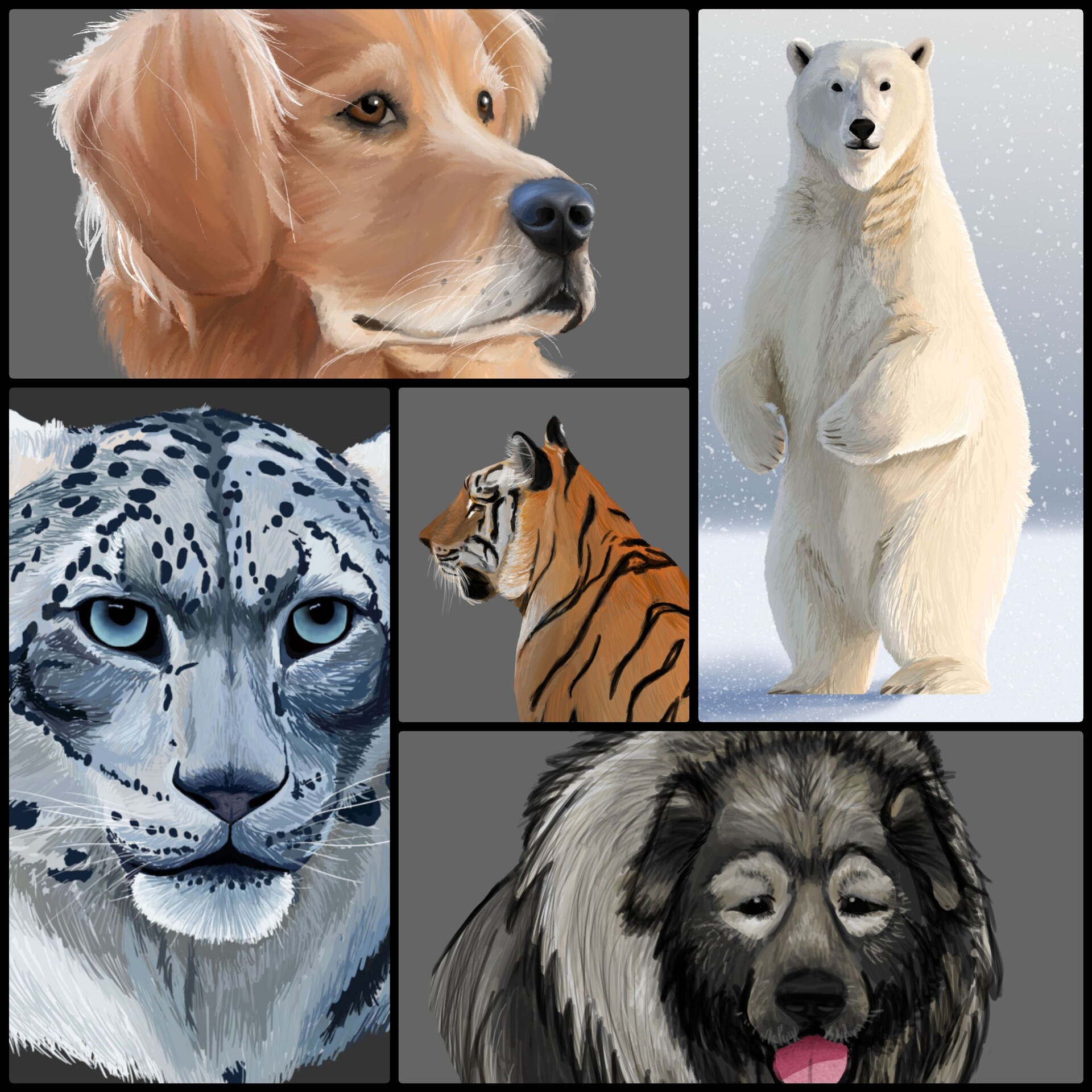 ArtStation - Animal Studies: August - July
