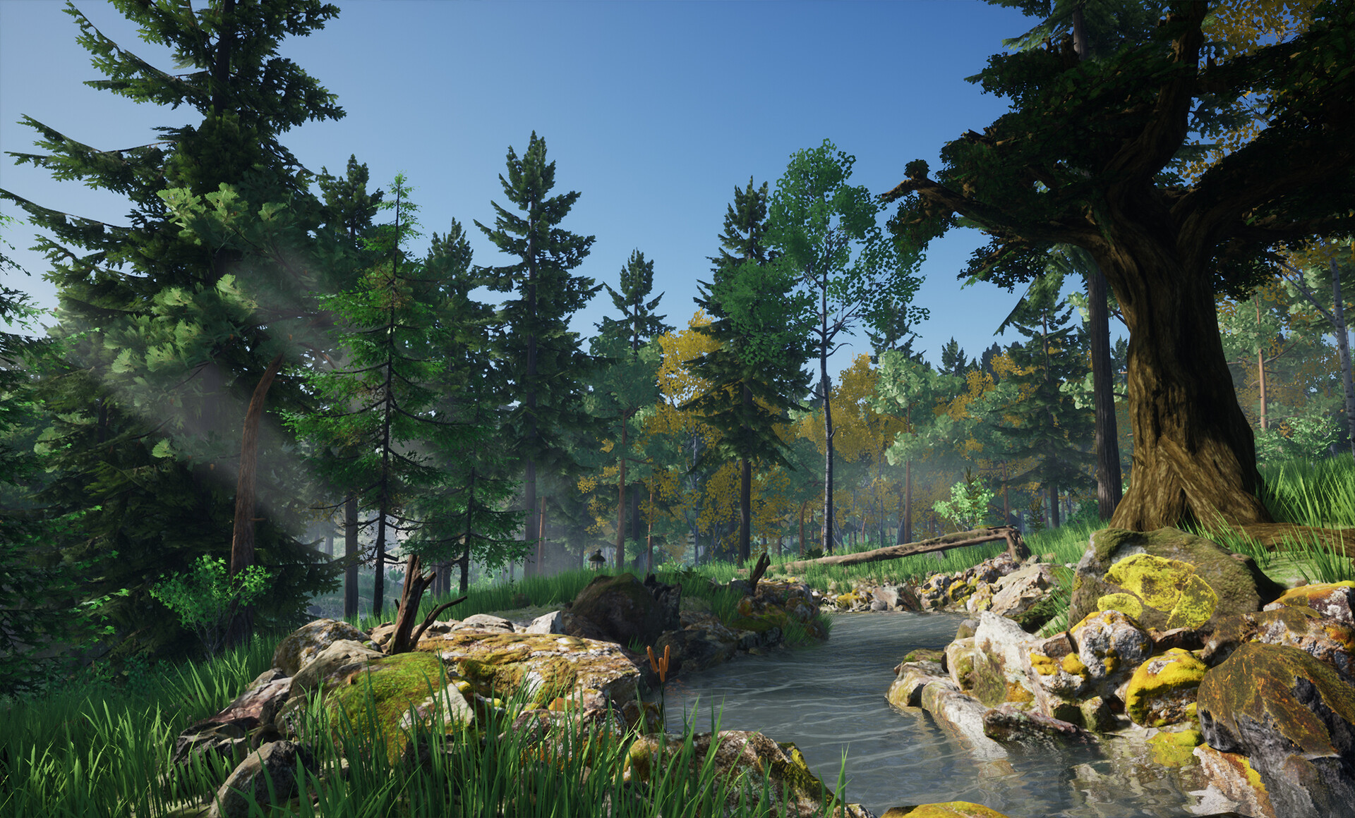 ArtStation - Forest River and Shrine: Procedural terrain made with Houdini