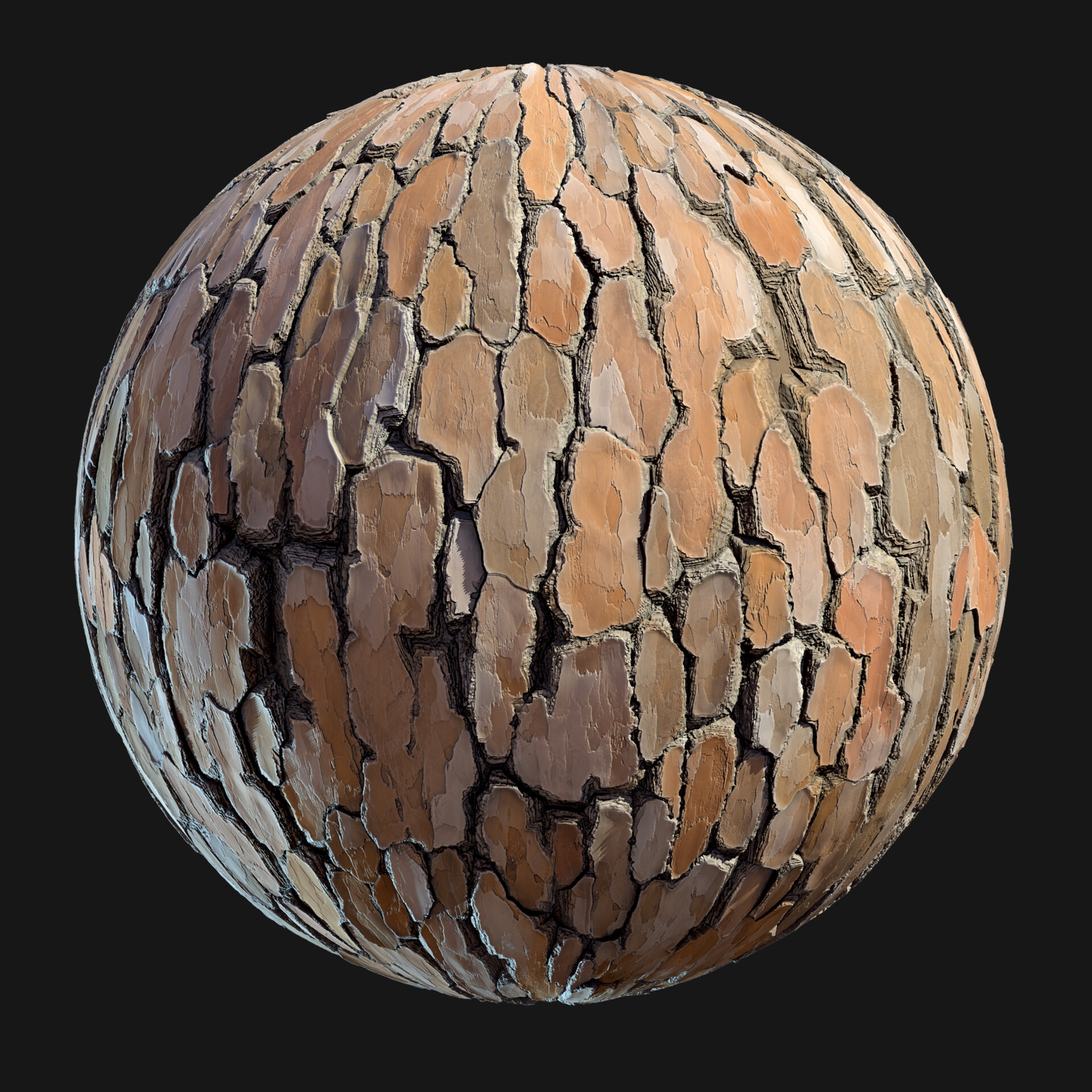 ArtStation - Mediterranean Pine Bark Material - Substance Designer