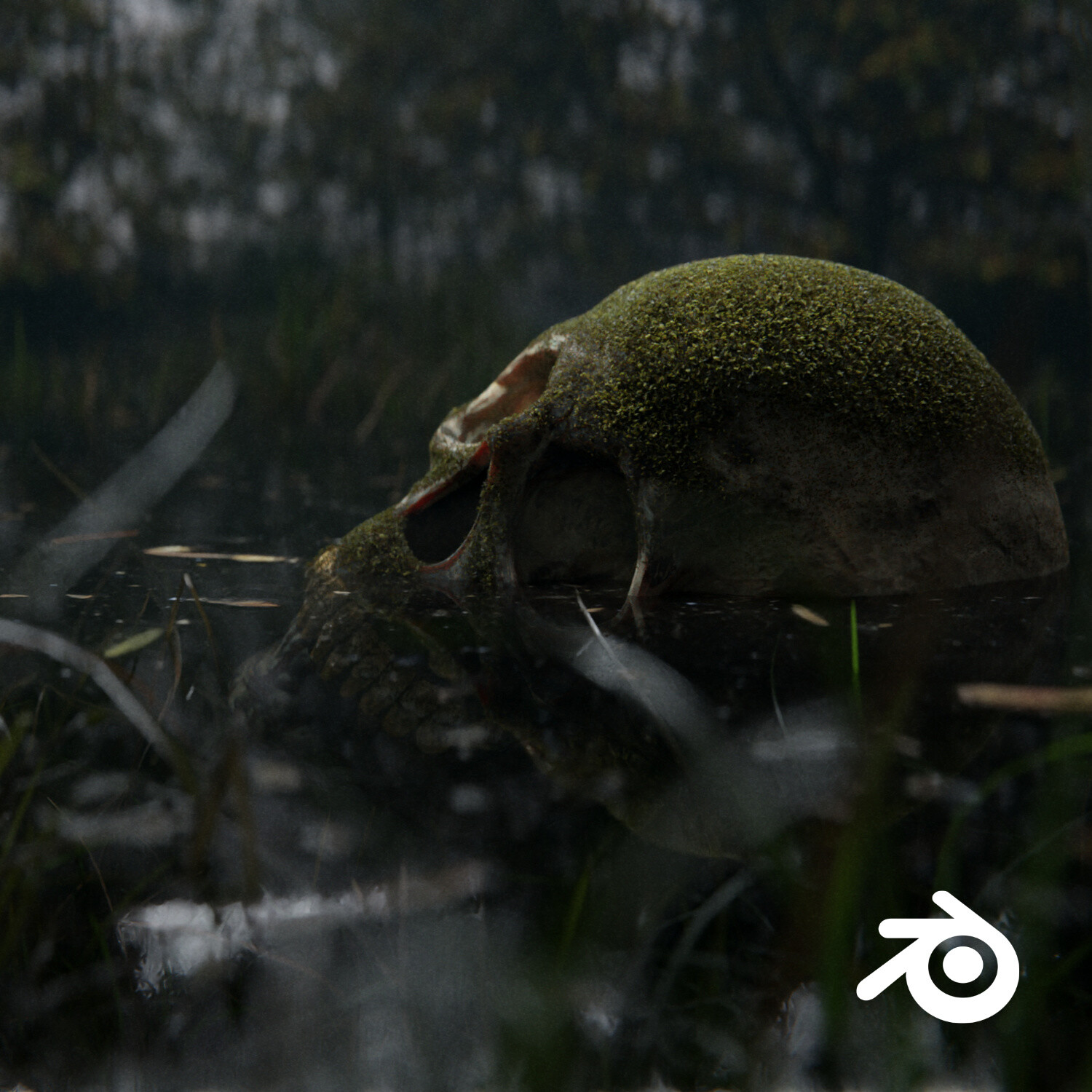 ArtStation - The Swamp - Blender Artwork