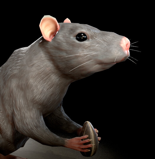 ArtStation - Rat (Real-time)