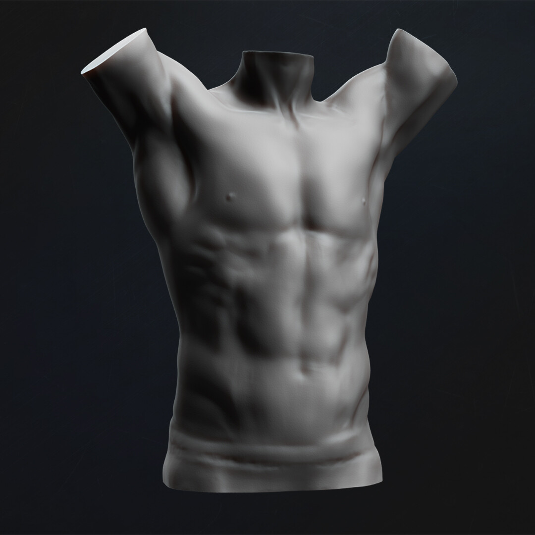 ArtStation - Study of torso movements - Arthur FOURNIER - Artside