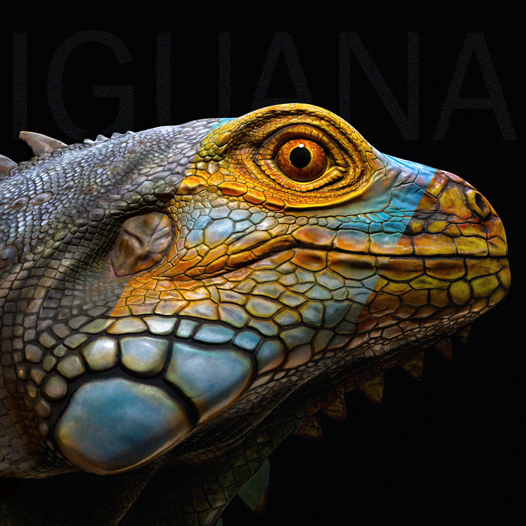 ArtStation - IGUANA