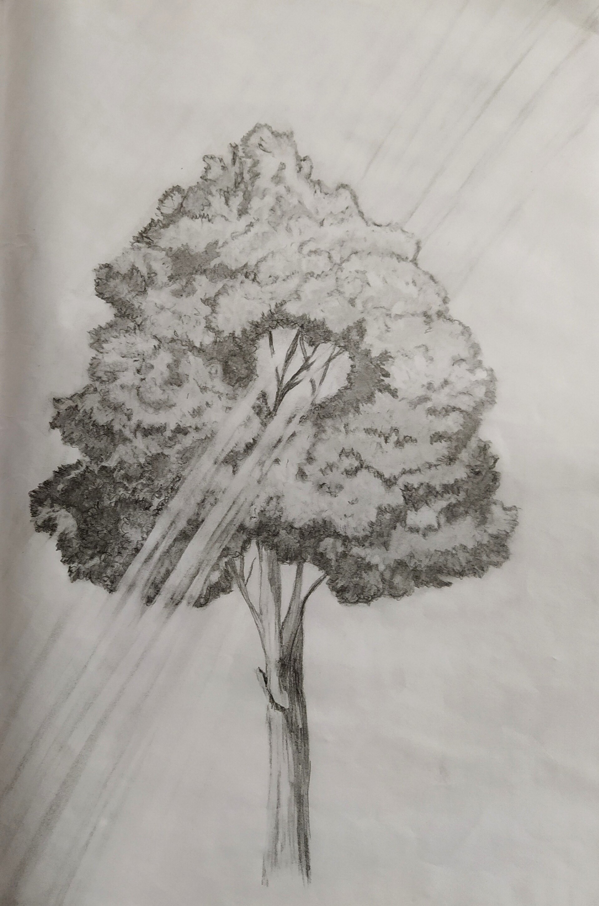 ArtStation - Sun rays