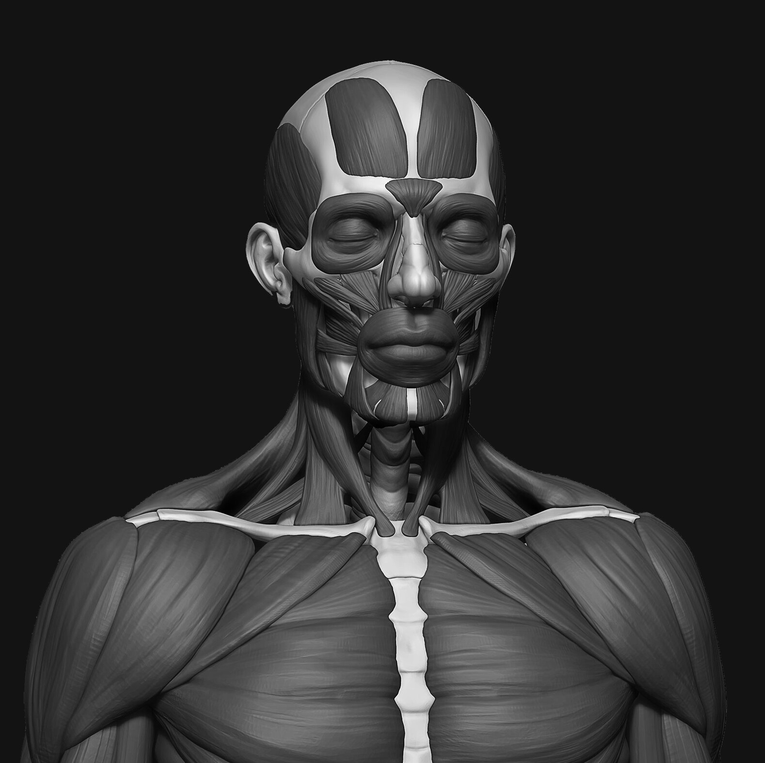 ArtStation - Flesh and bones