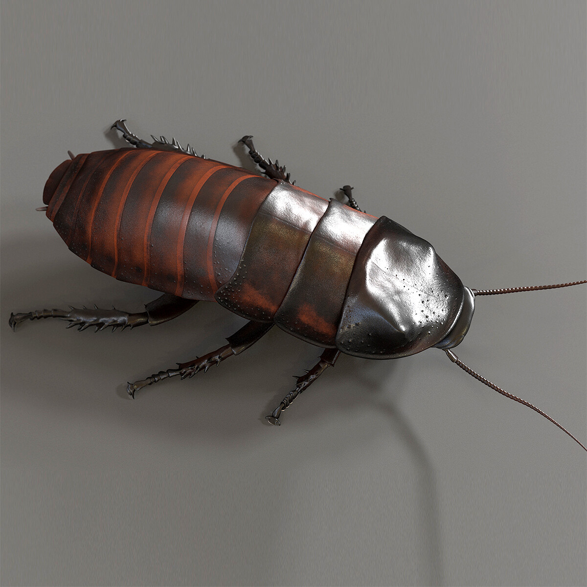 ArtStation - Realistic Hissing Cockroach