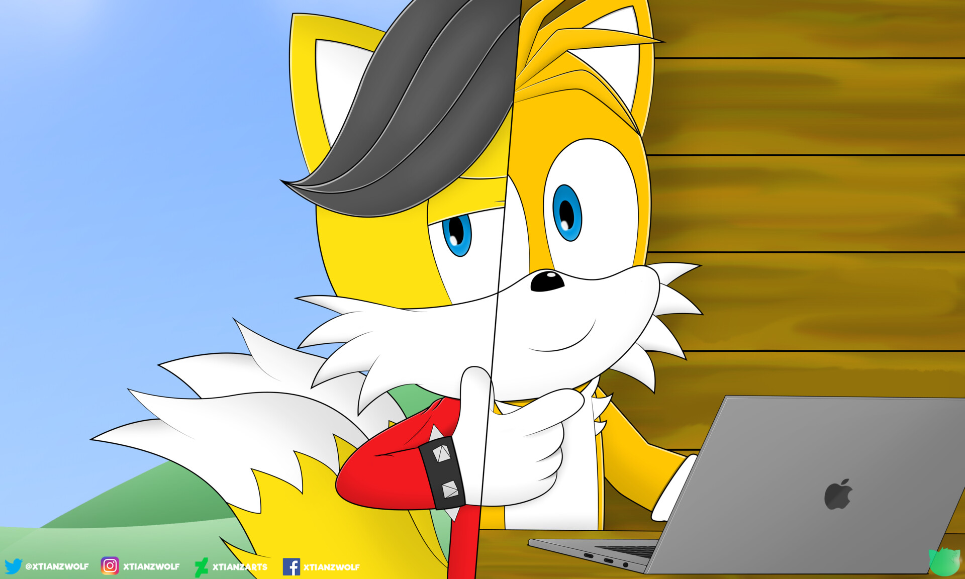 ArtStation - Two Sides of Tails