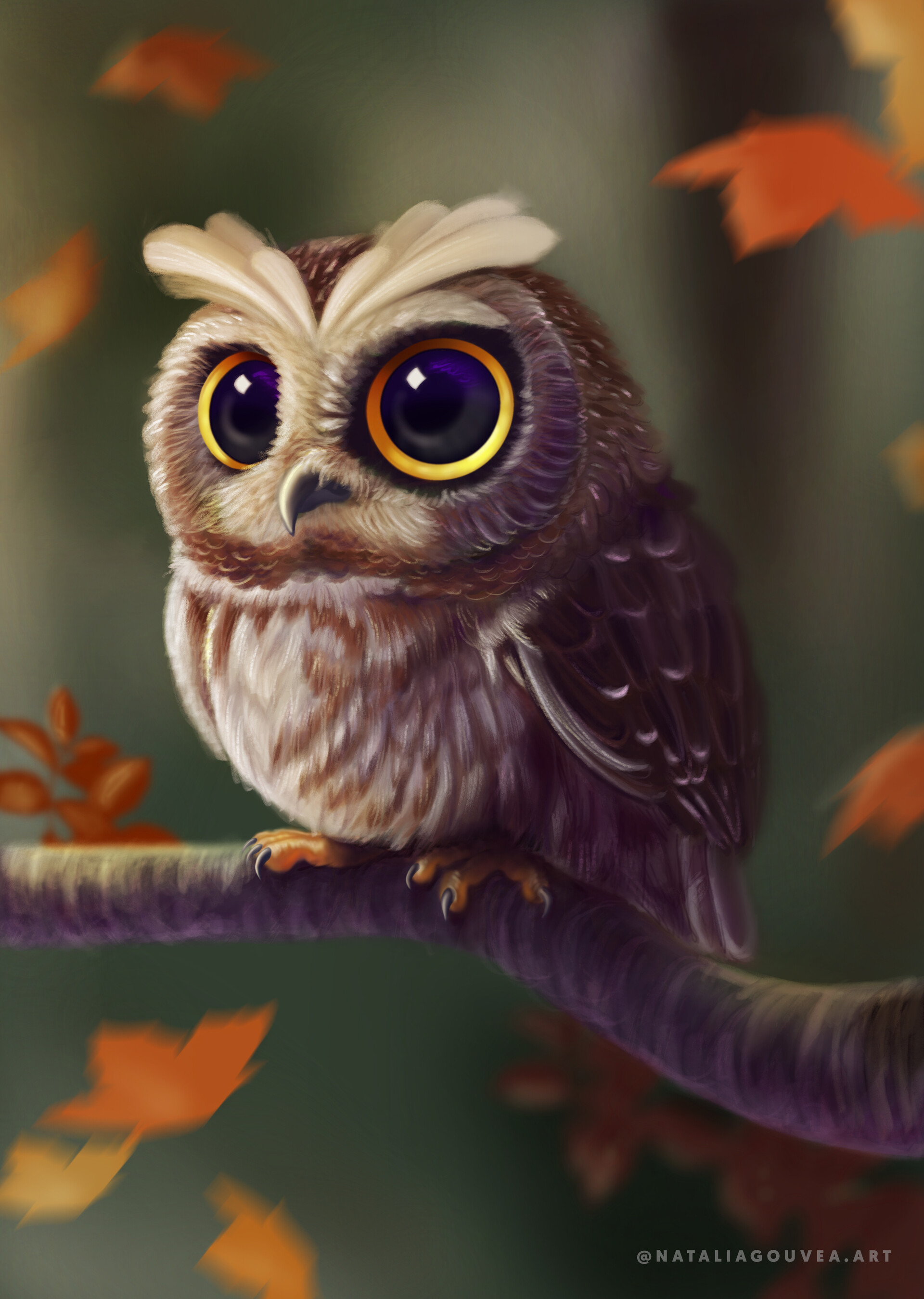 ArtStation - Owl My Goodness!