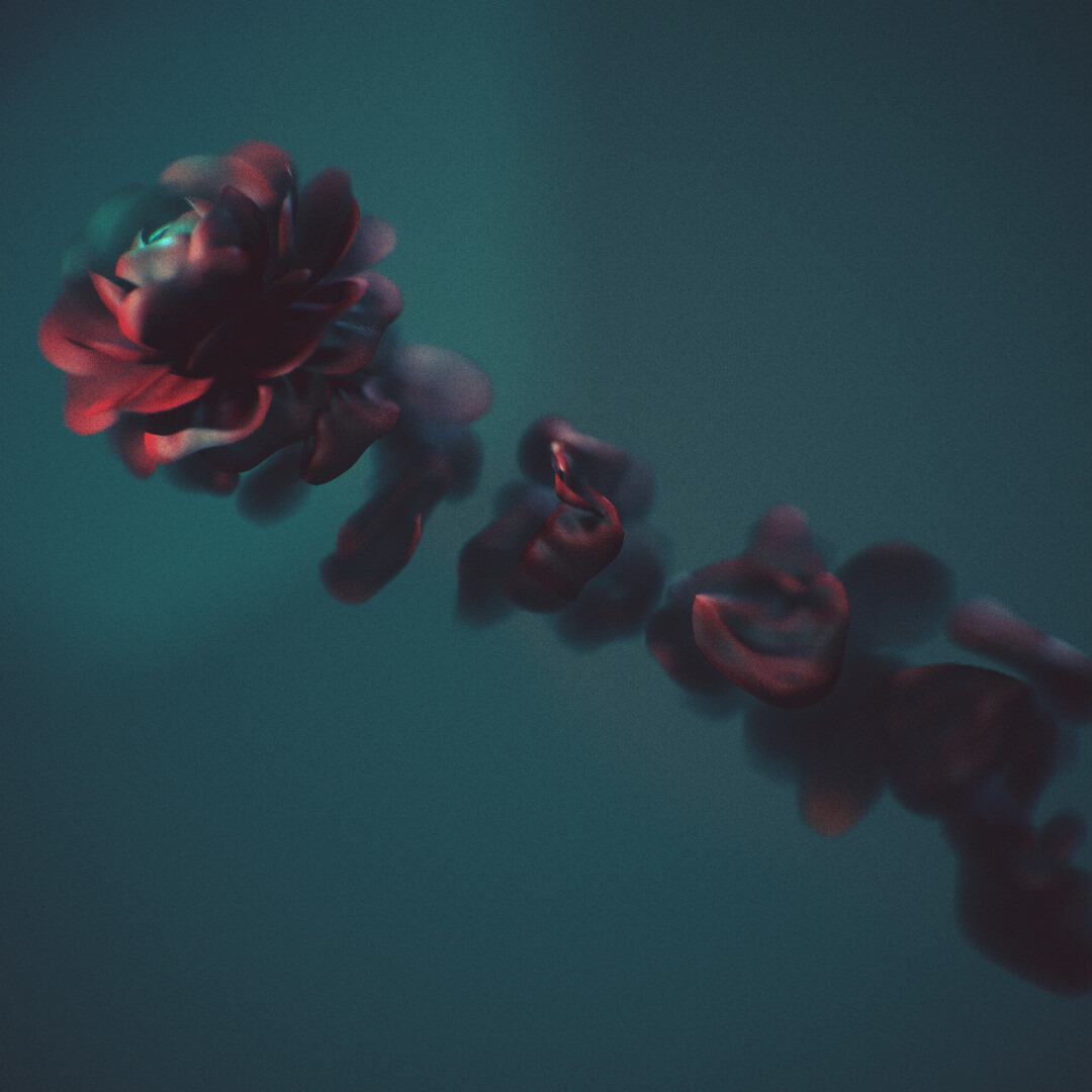 ArtStation - Falling petals (animated loop)