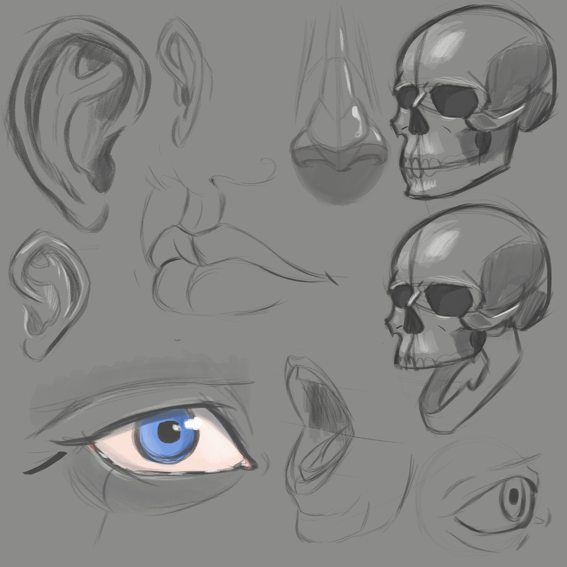 ArtStation - Course - Aaron Blaise 'Drawing Human Anatomy'