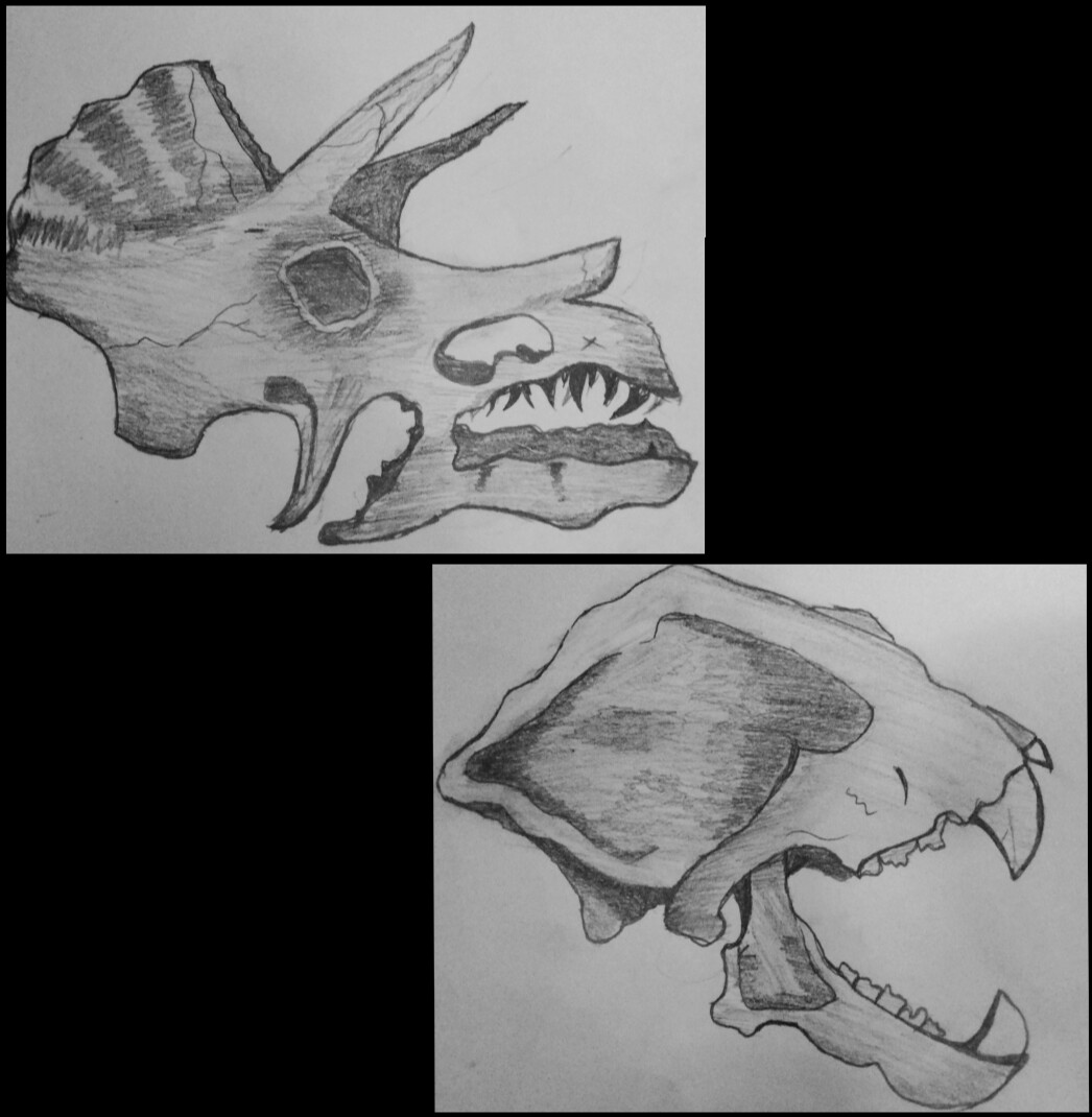 ArtStation - Dynasor skull 💀🦖