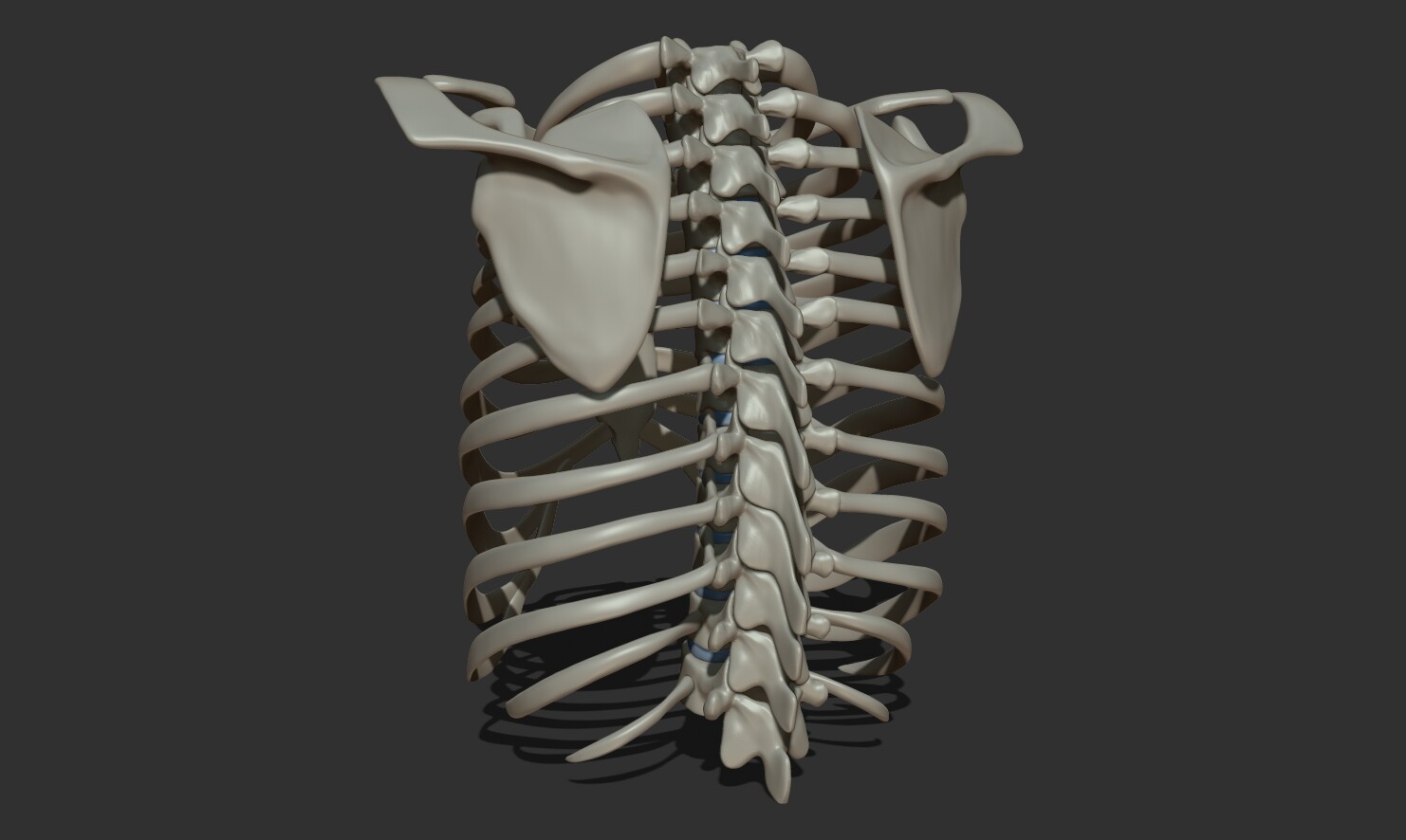 ArtStation - Practicing Shoulder