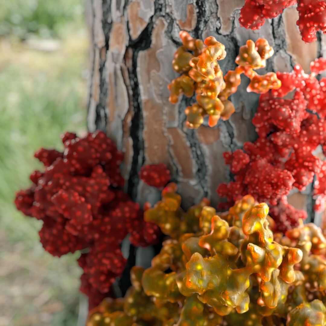 ArtStation - mushroom wizard