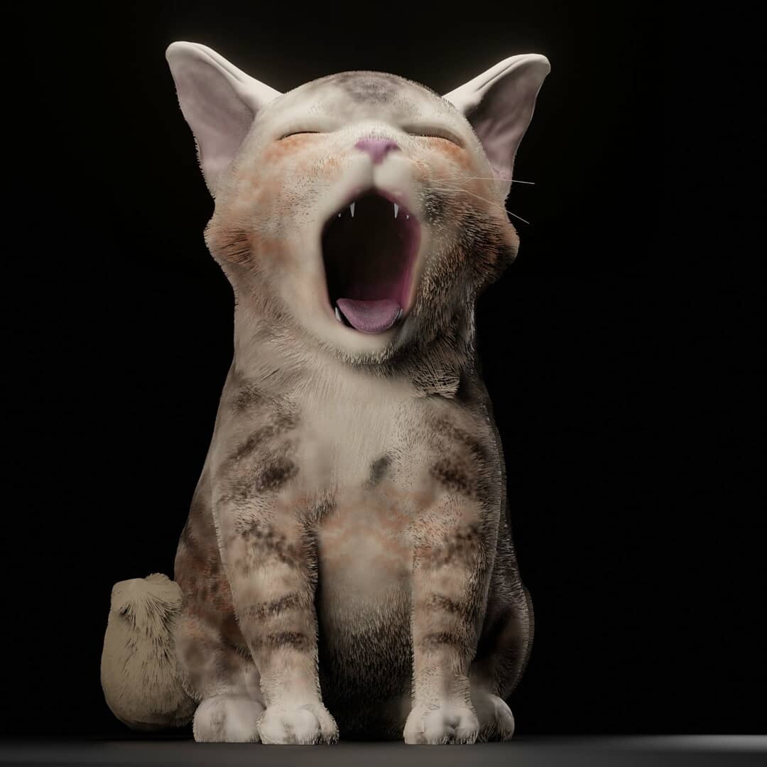 ArtStation - Sleepy Cat