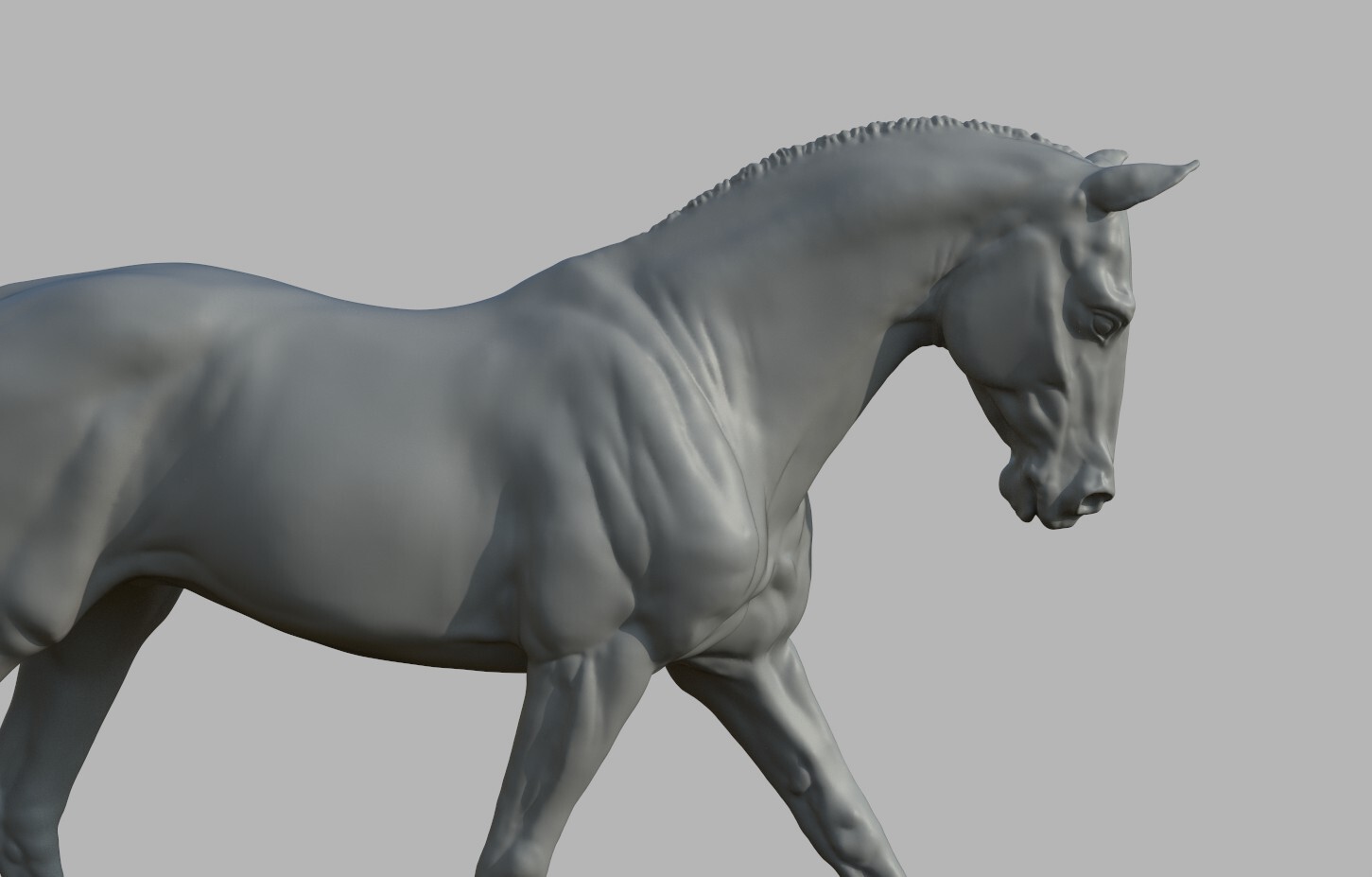 ArtStation - Cantering Horse