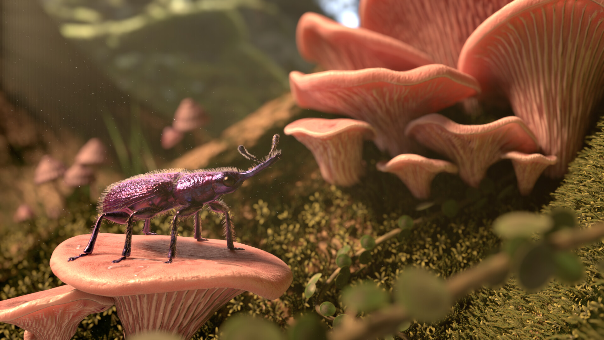 ArtStation - Weevil Insect