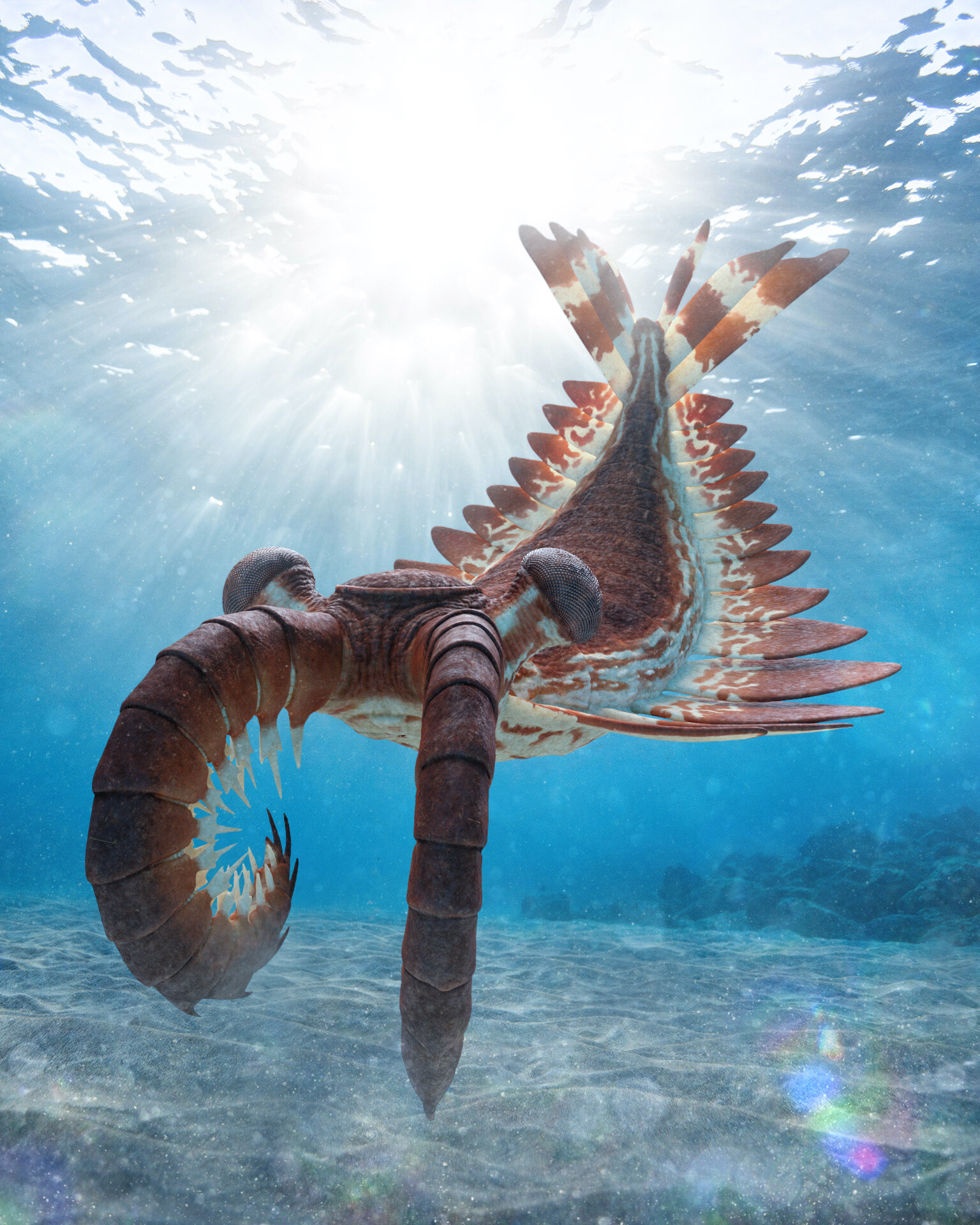 ArtStation - Anomalocaris