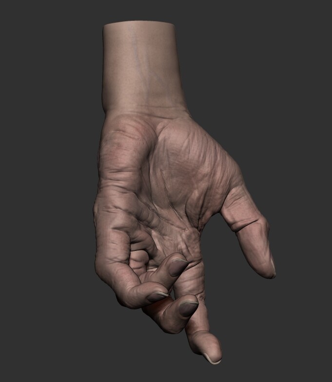 ArtStation - Hand Anatomy