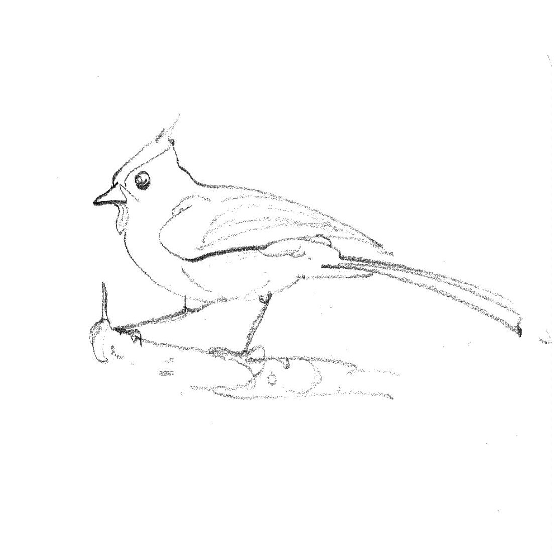 alexandru coloring pages