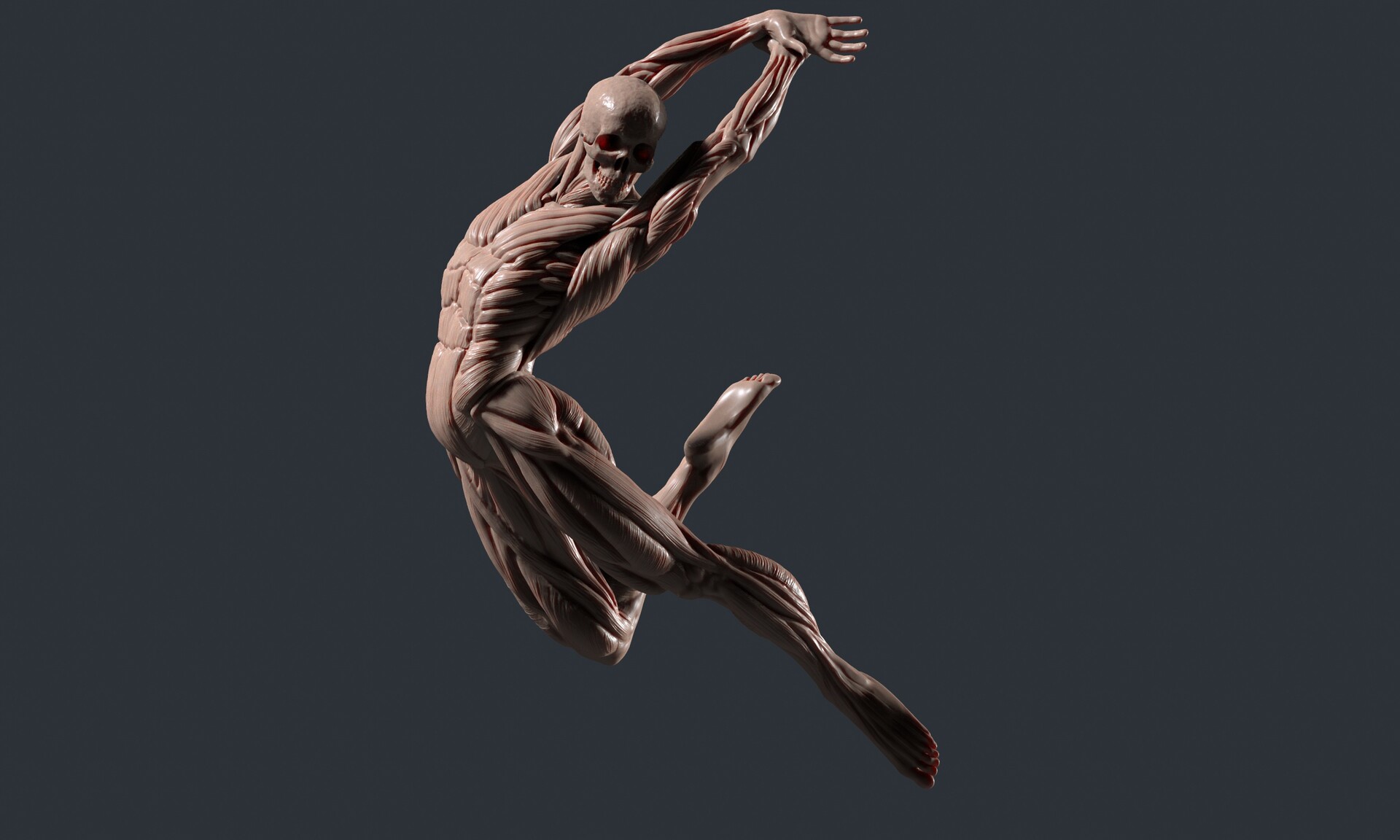 ArtStation - Dynamic Ecorche