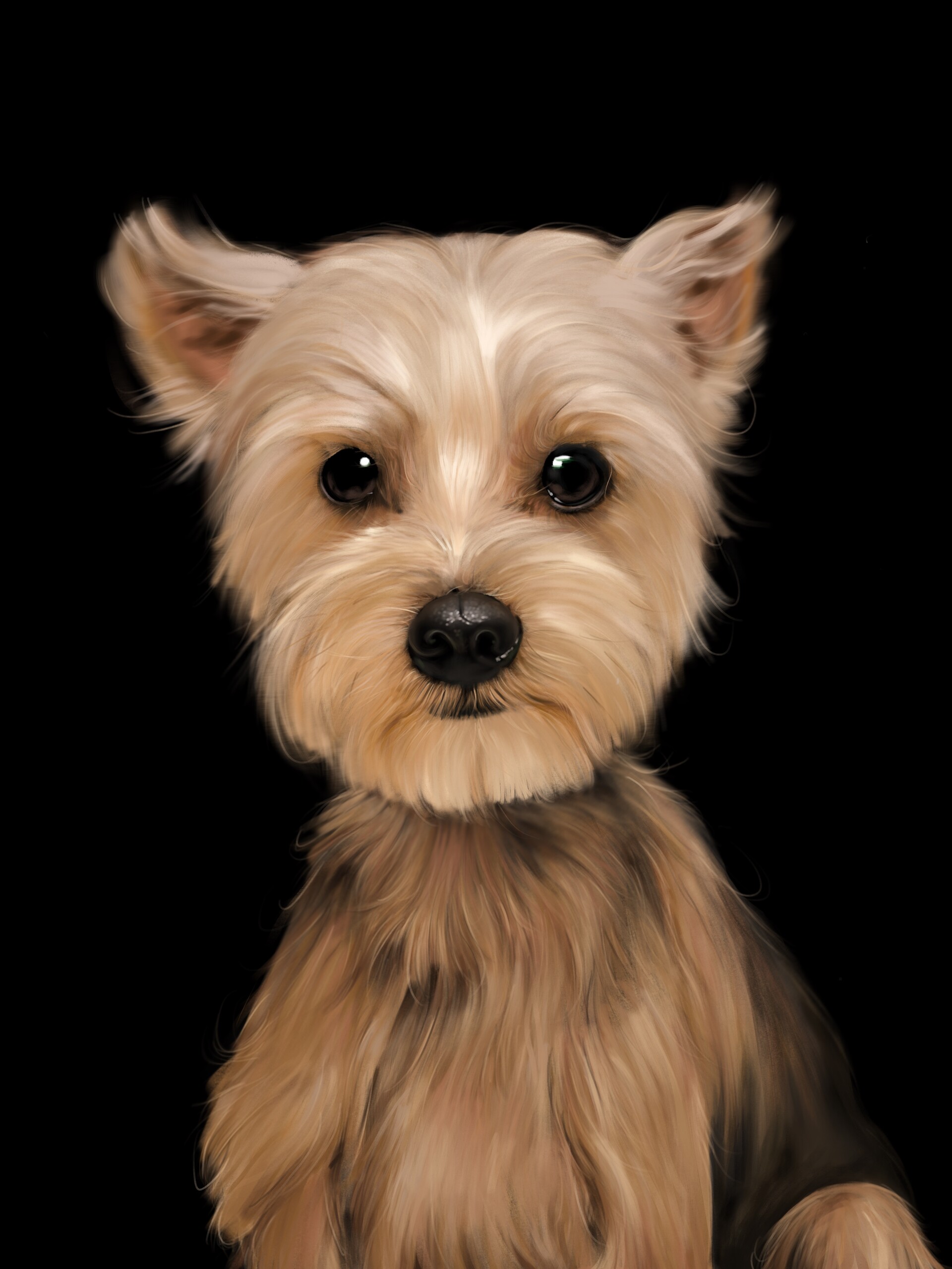 ArtStation - The Morkie | Procreate ART