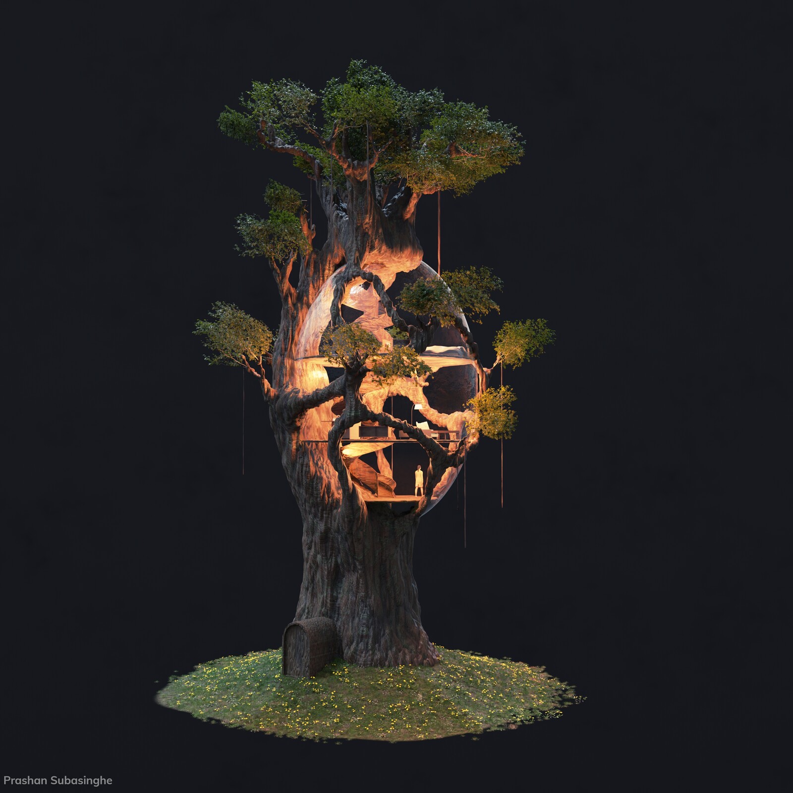 3D artist Prashan Subasinghe