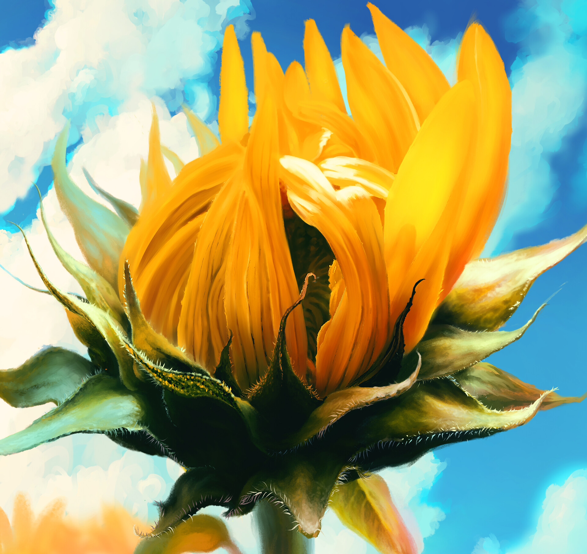 Alvaro León - Yellow.