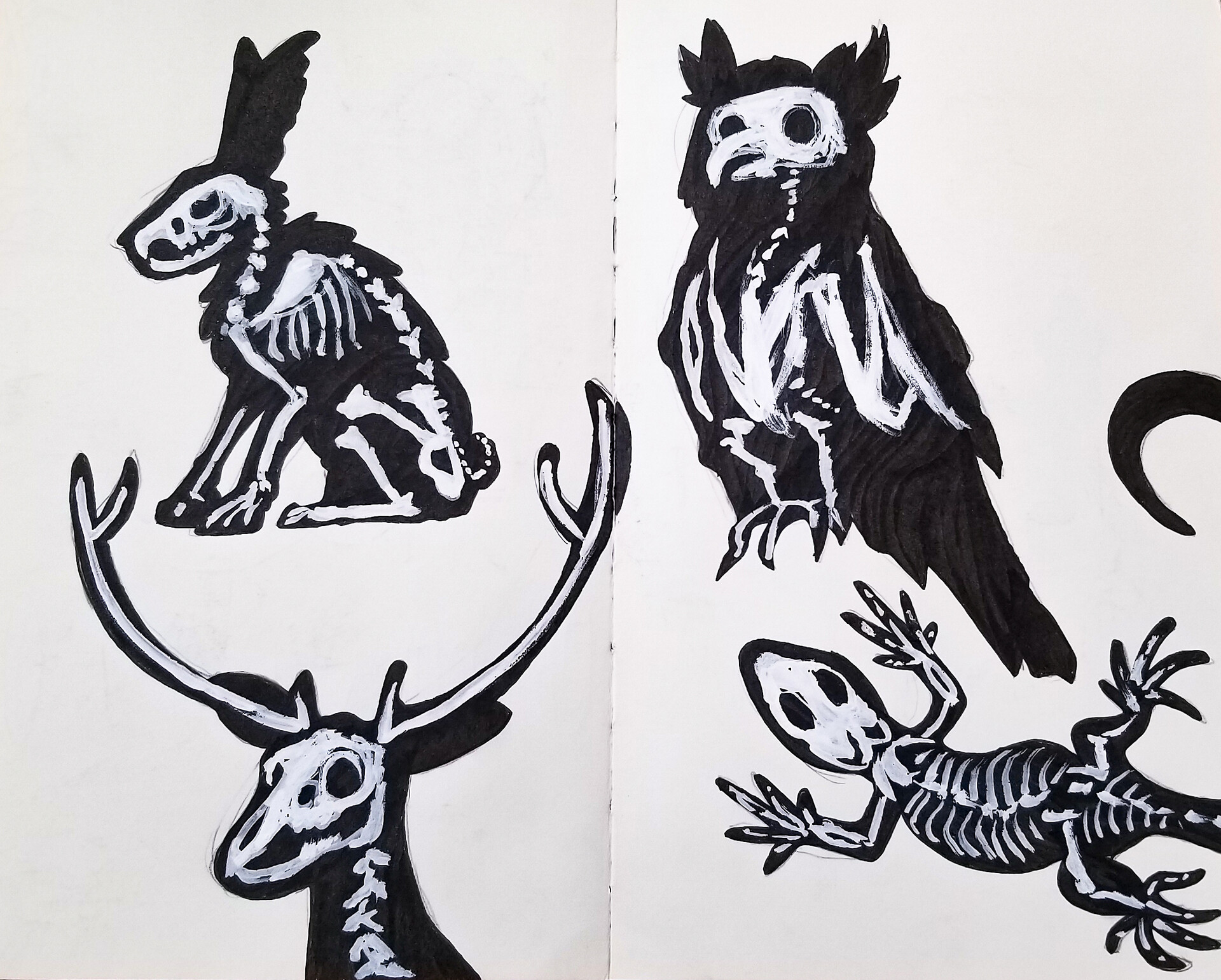 ArtStation - Animal Skeletons