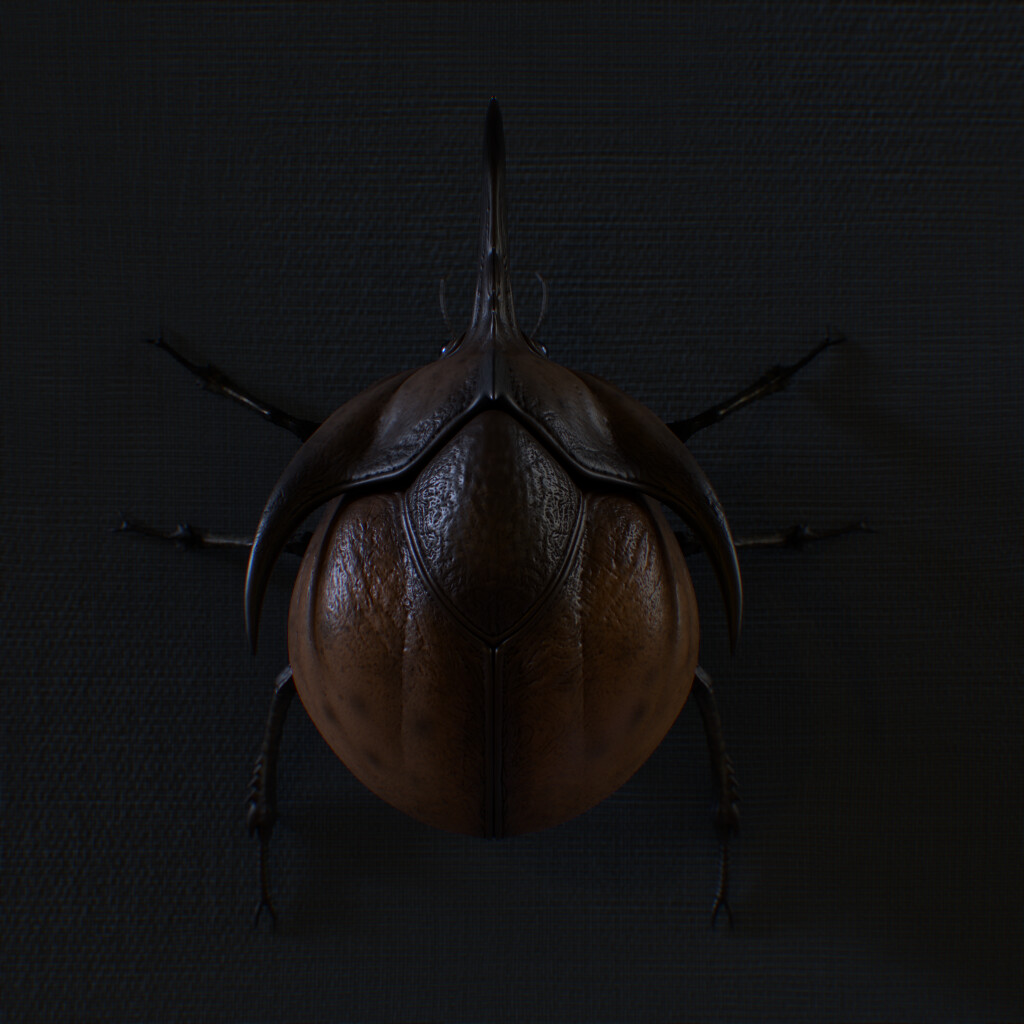 ArtStation - Big Beetle!