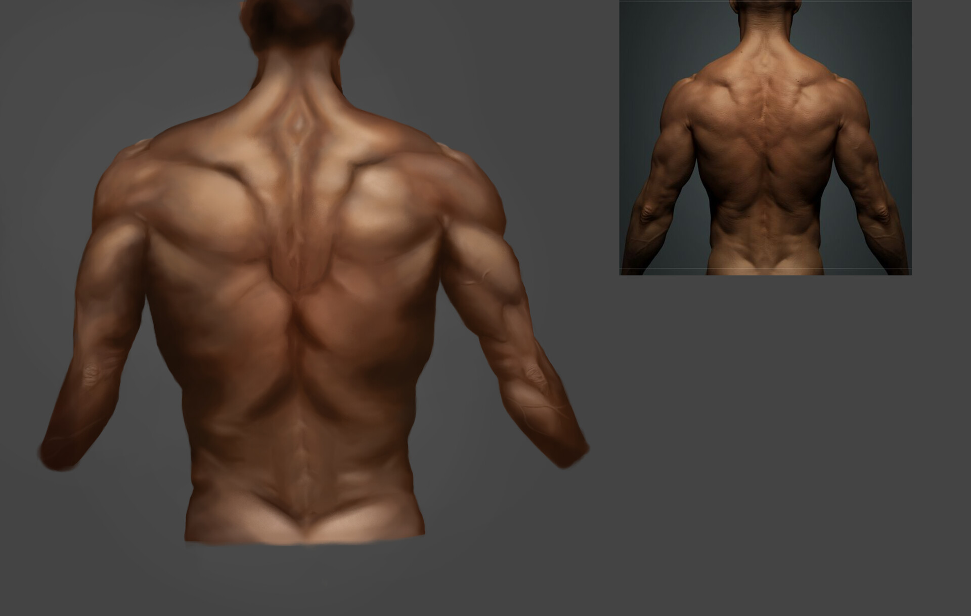 ArtStation - Back Study
