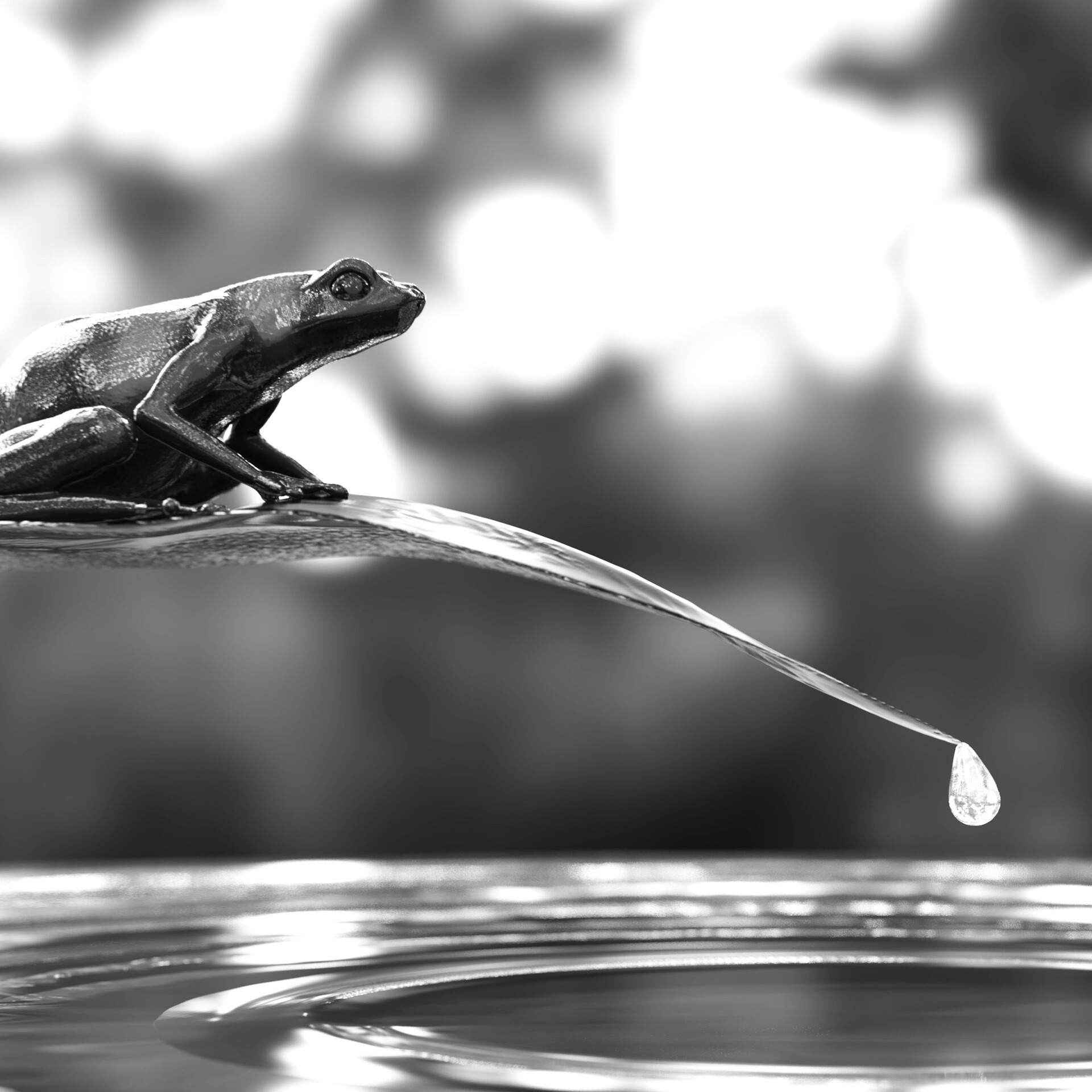 ArtStation - After the rain