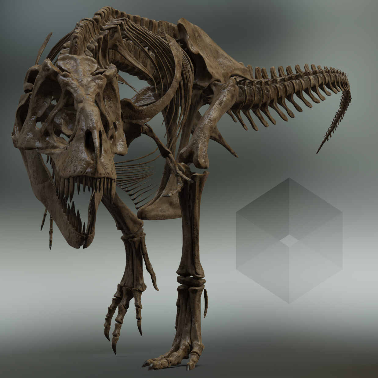 ArtStation - T-Rex fossil skeletal anatomy