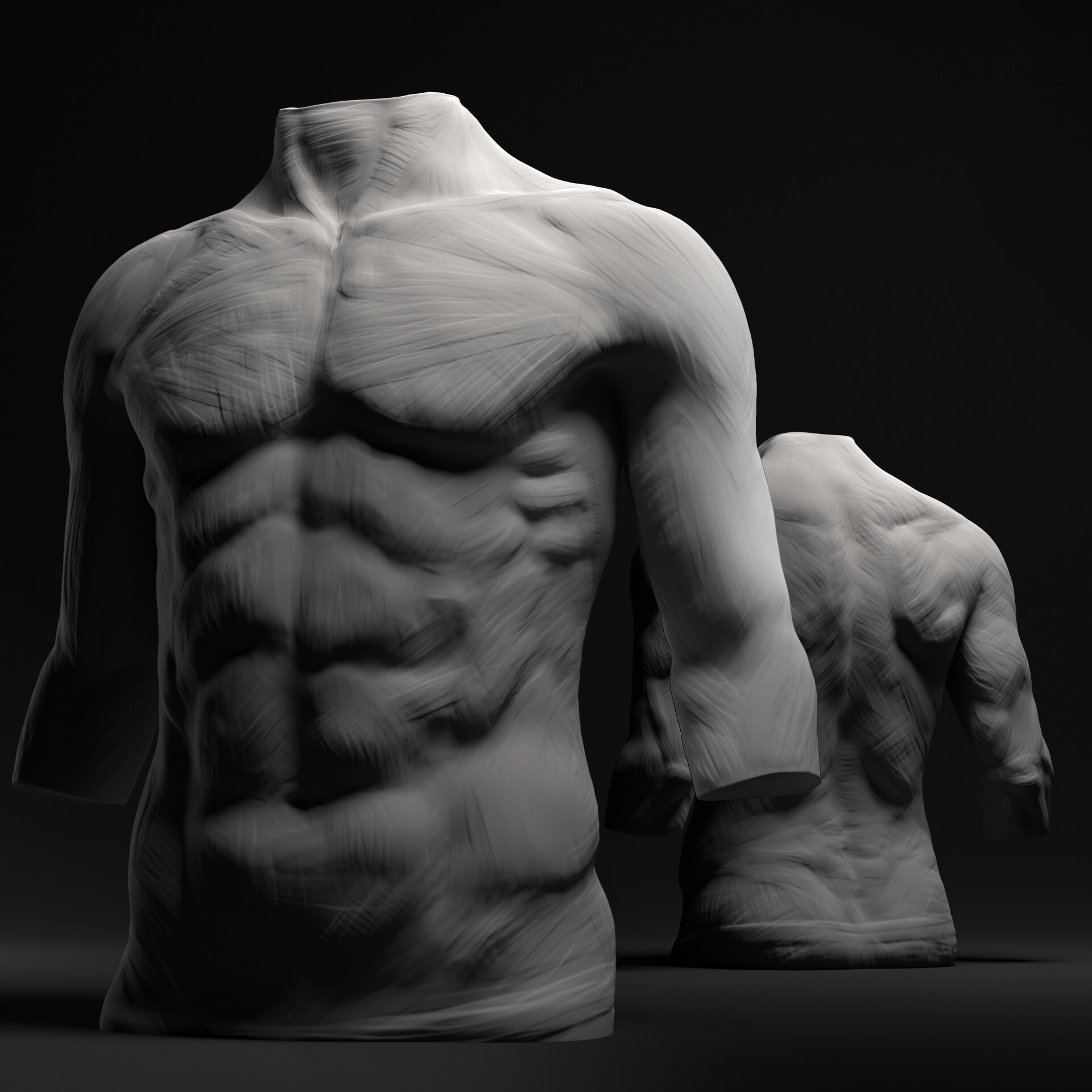 ArtStation - Torso Anatomy Studies