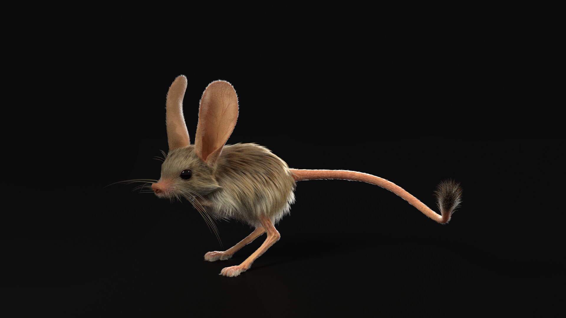 ArtStation - Gobi desert Jerboa
