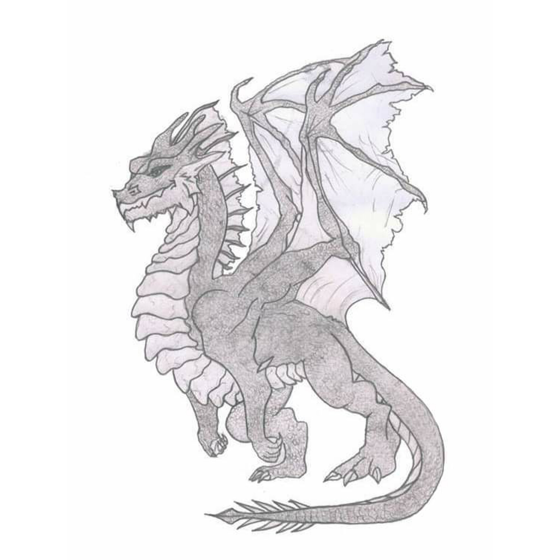 ArtStation - Dragon Drawing