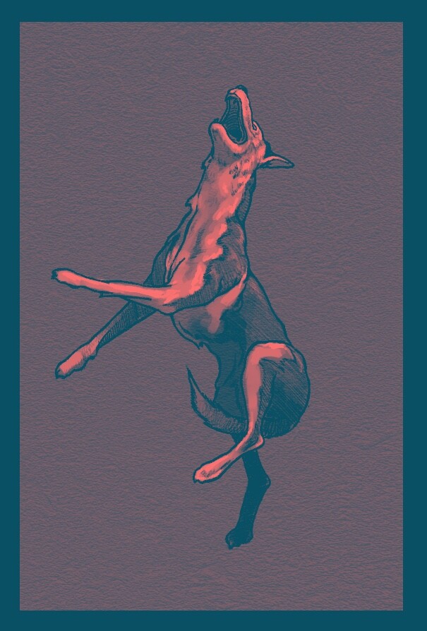 Alessandro Capuano - UNDERDOGS SKETCH #1