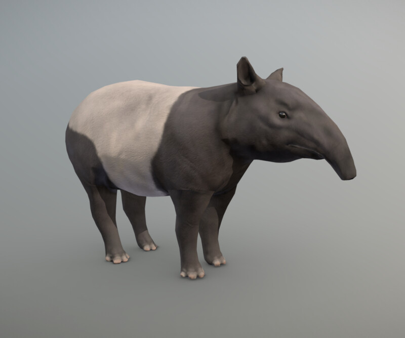 ArtStation - tsugu tsugu