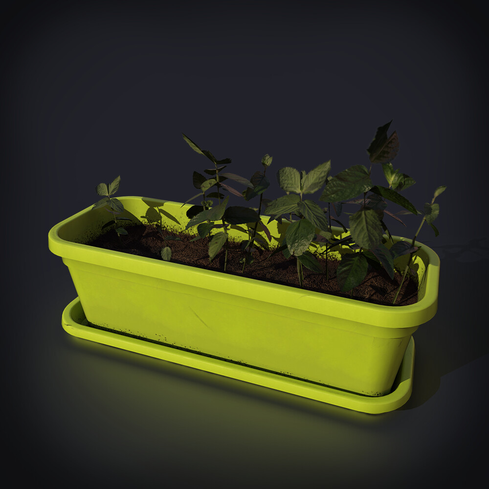 ArtStation - Mint in pot [Props]