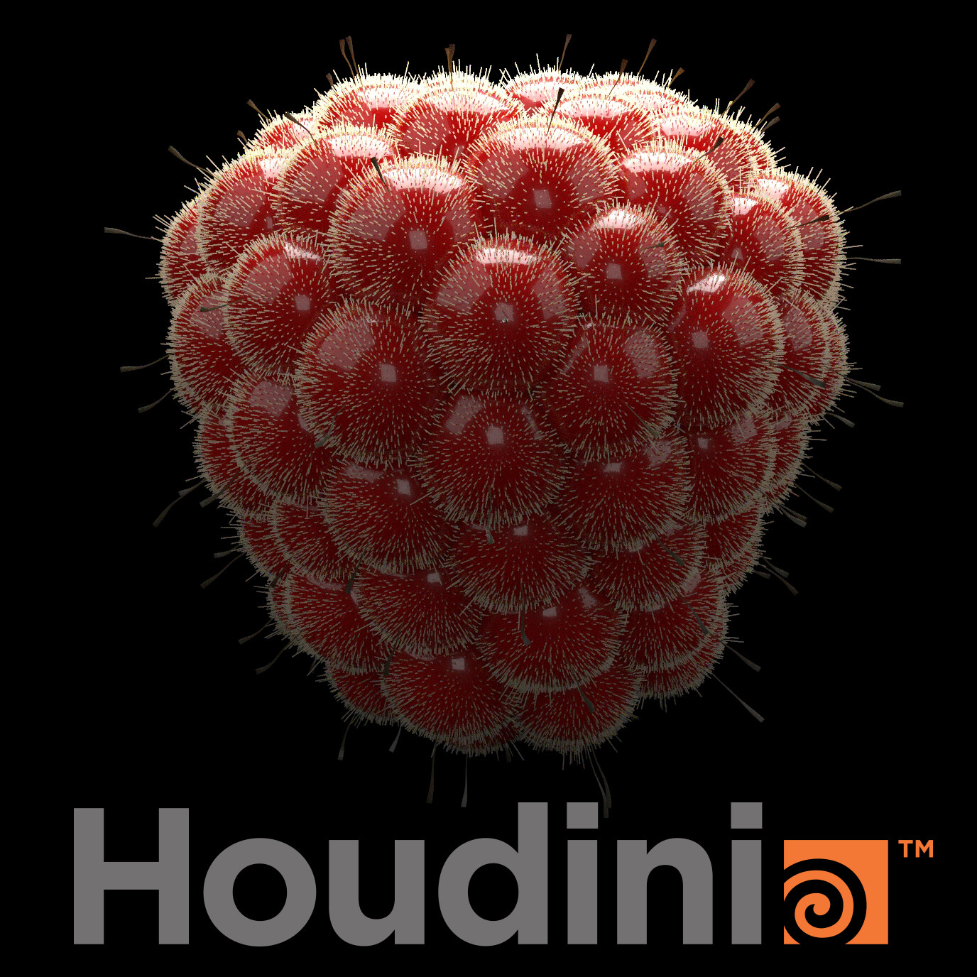 ArtStation - Houdini raspberry