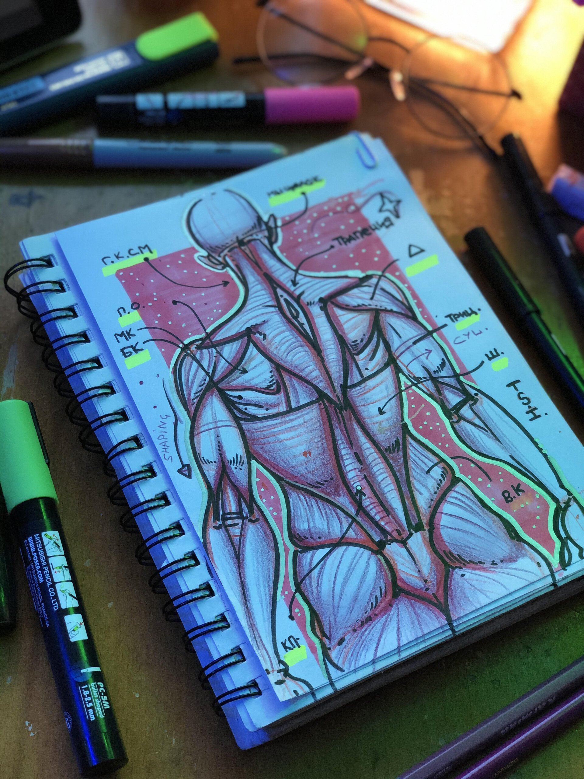 ArtStation - Anatomy practice. Back. Video included